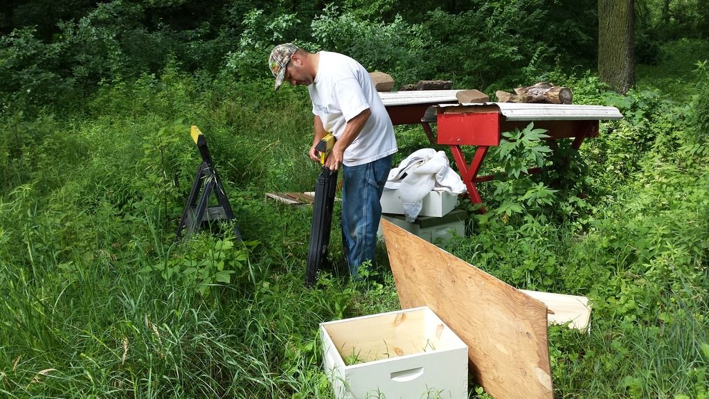 Cutting out of a TBH into the Langstroth | Beesource Beekeeping Forums