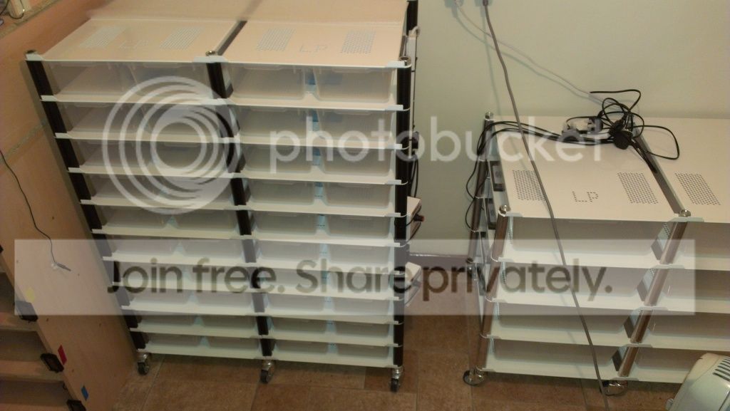 LP3 V70 Rack on order!!! | Reptile Forums