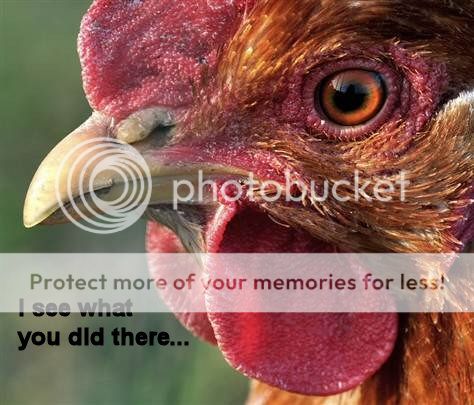 A Pledge to Read and Comply with the Code of Conduct > General ...